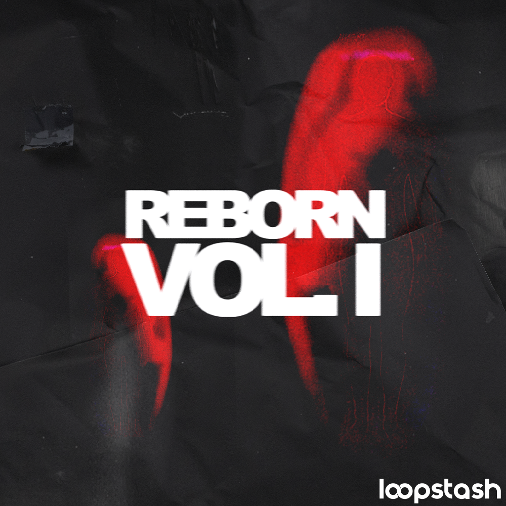 🎹 🎸 KXVI x KINGFISHER - REBORN LOOP KIT VOL. I